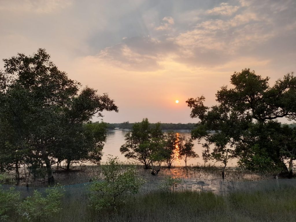 Sundarban trip: Why is it important to book a resort in Sundarban?