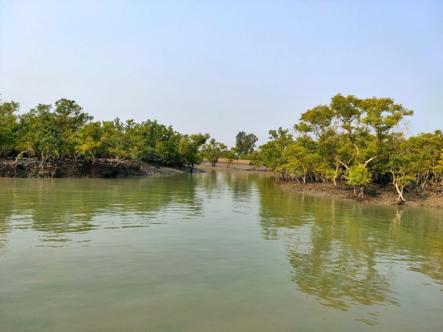 How to find the best tour package for the Sundarban tour?