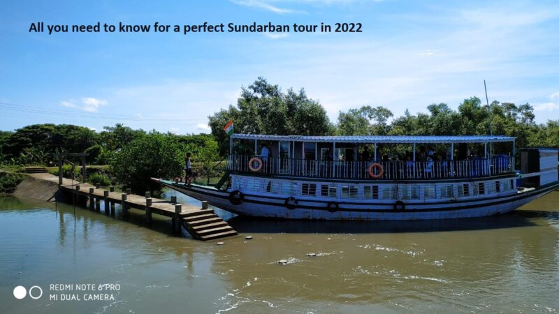 Sundarban tour in 2022: 6 best activities you must try
