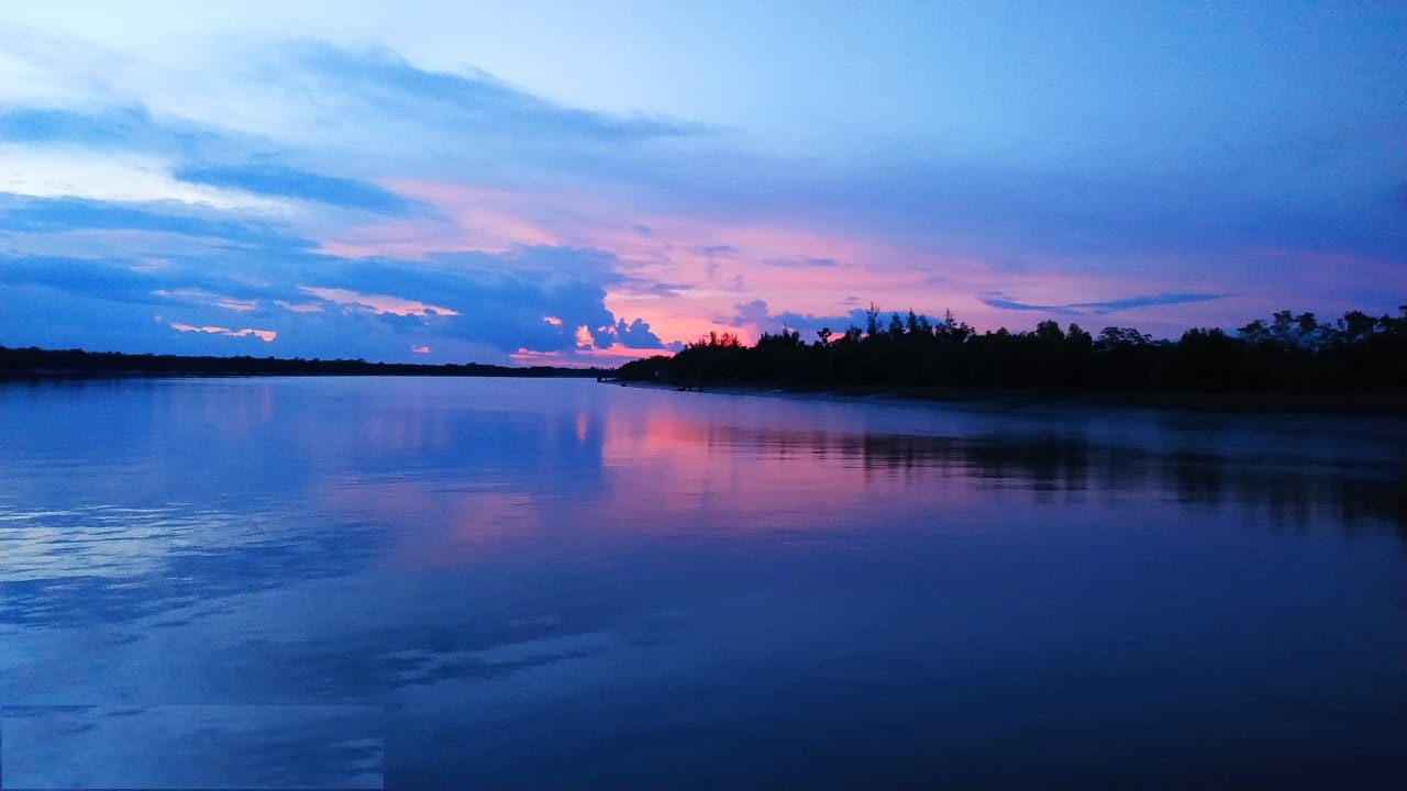 7 Facts of Sundarban Safari - known by few Tour Operator