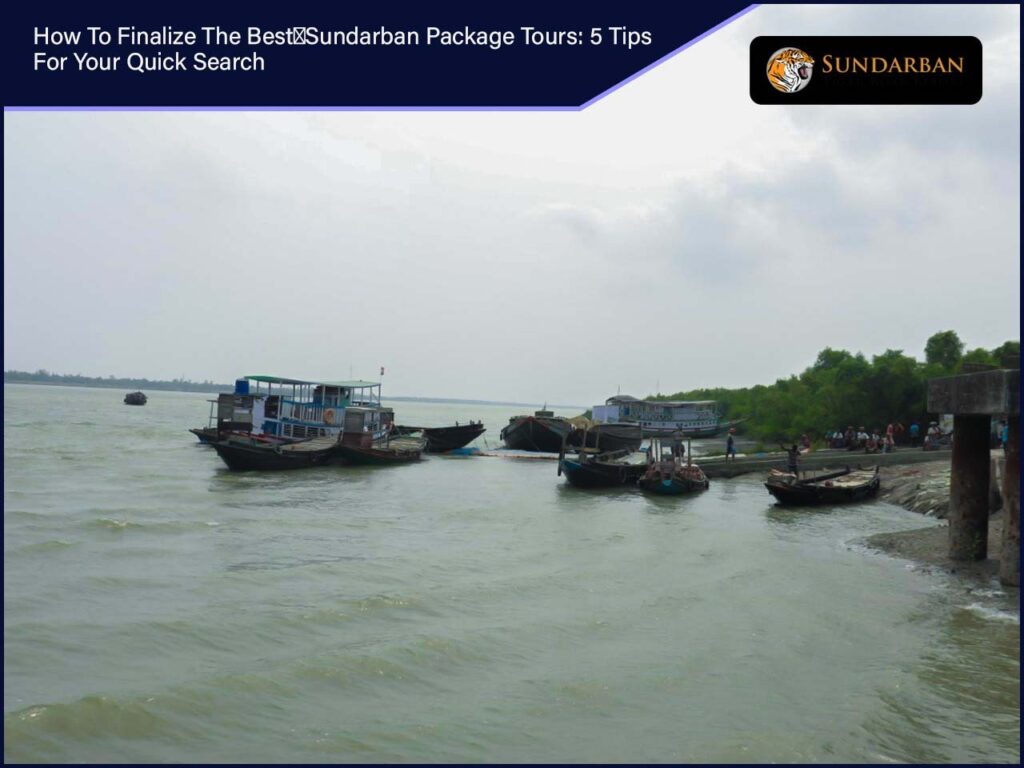 Special sundarban package tours: 5 best options to avail