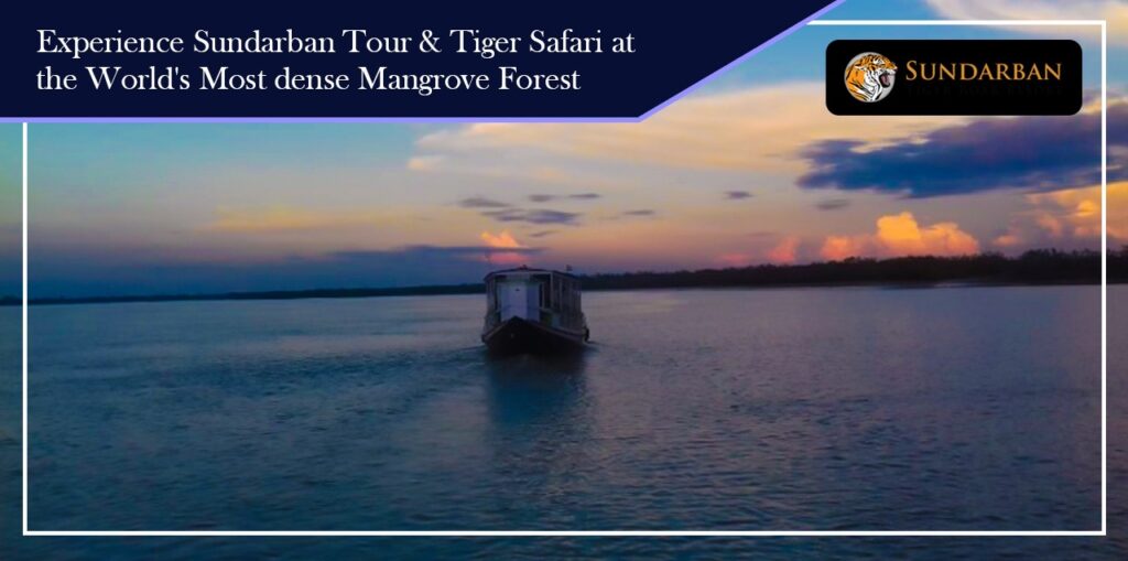 Sundarban Tour is an exotic weekend destination