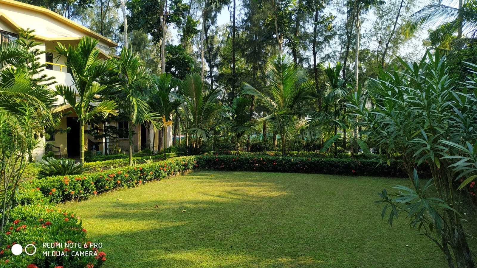 Sundarban Tiger Roar Resort: 7 reasons to book your stay here