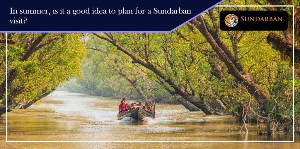 Sundarban Travel