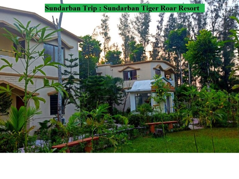 Sundarban trip at Sundarban Tiger Roar Resort