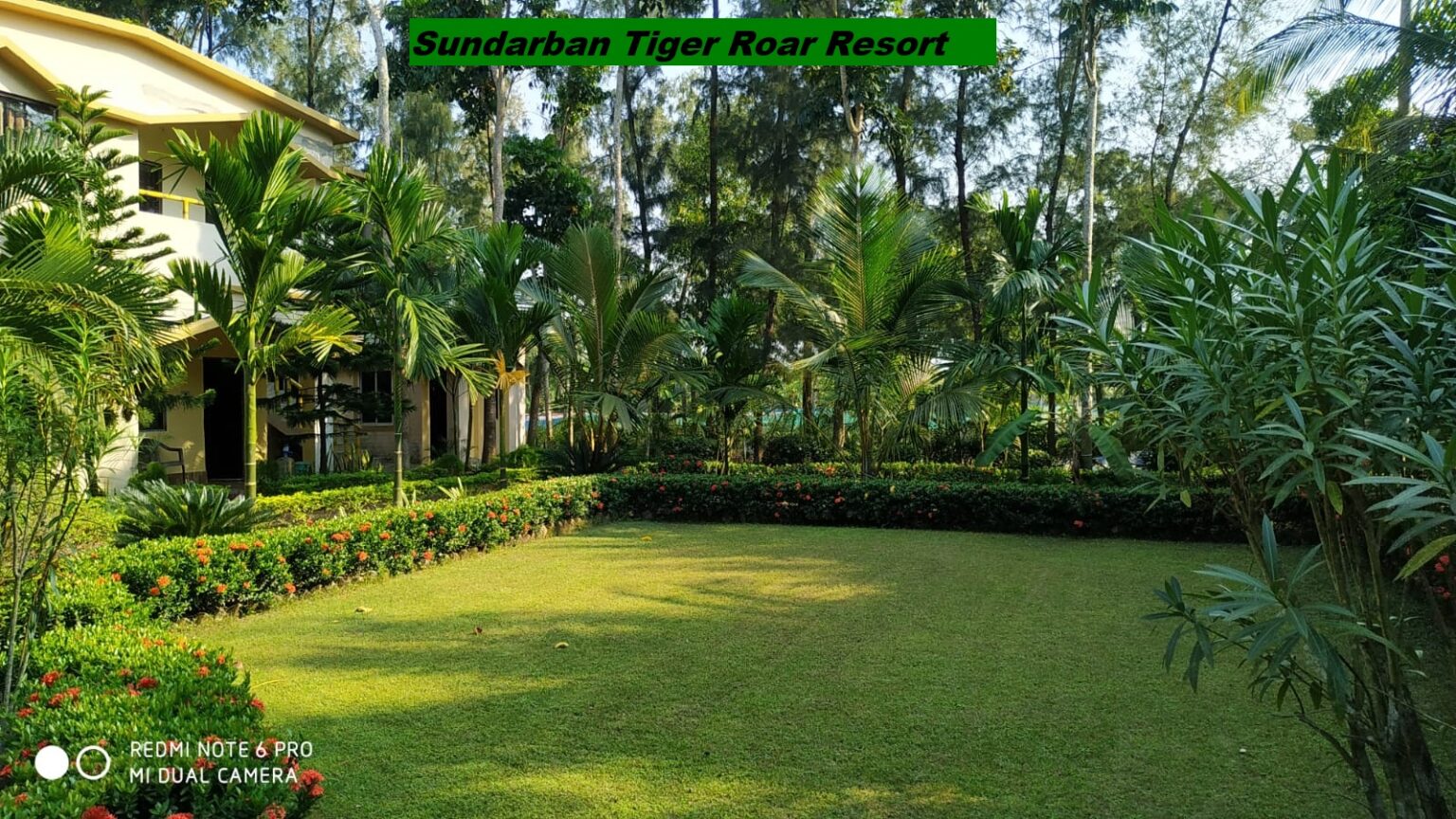 Sundarban Tiger Roar Resort: Luxury Amidst the Wilderness
