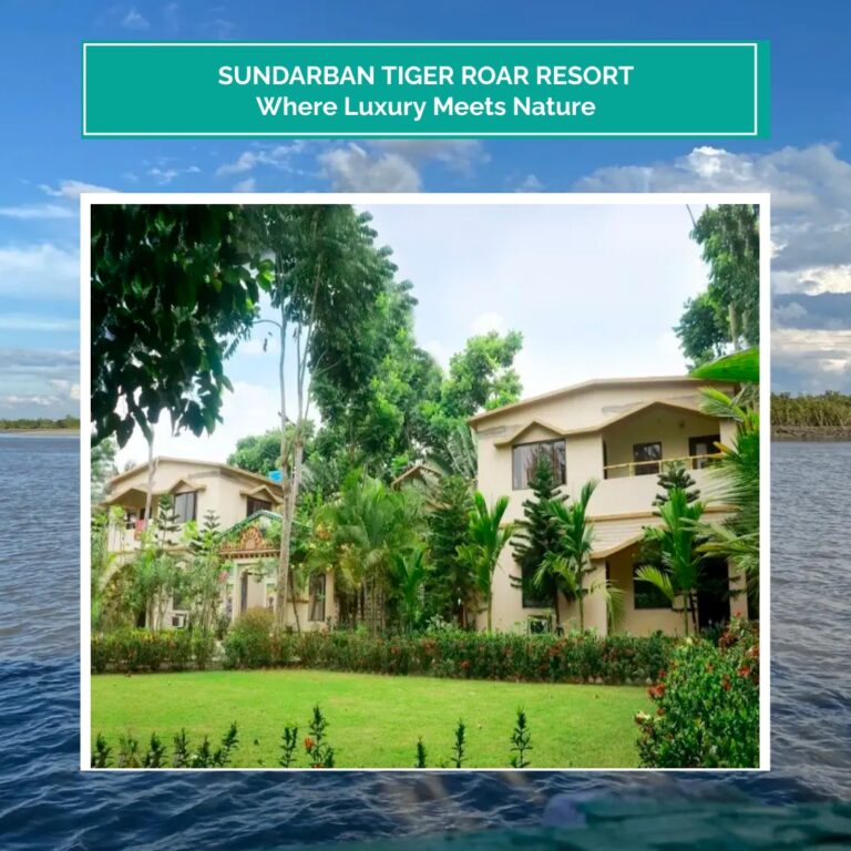 8 Luxurious arrangements in Sundarban Tiger Roar Resort